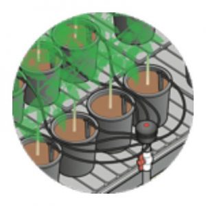 OCTA BUBBLER - Stealth Garden