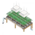 OCTA BUBBLER - Stealth Garden